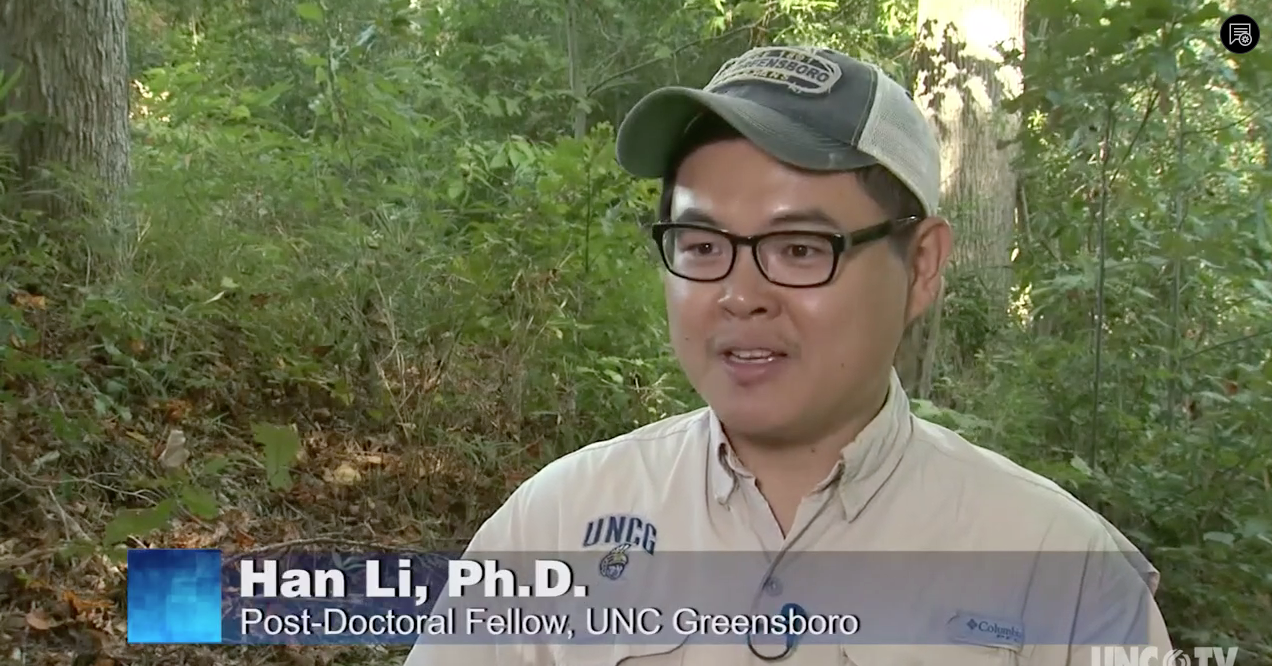 Dr. Han Li Discusses Saving Bats on PBS - The College of Arts and Sciences